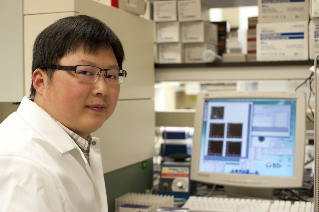 Capturing a Visual Story of Alcoholic Liver Disease Research | NIH Intramural Research Program